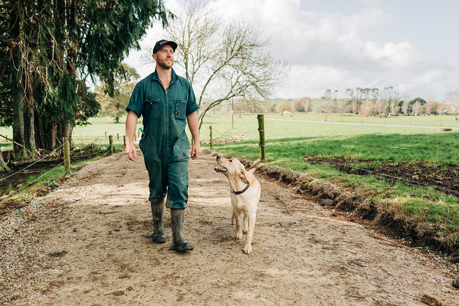 Rosters - DairyNZ | DairyNZ