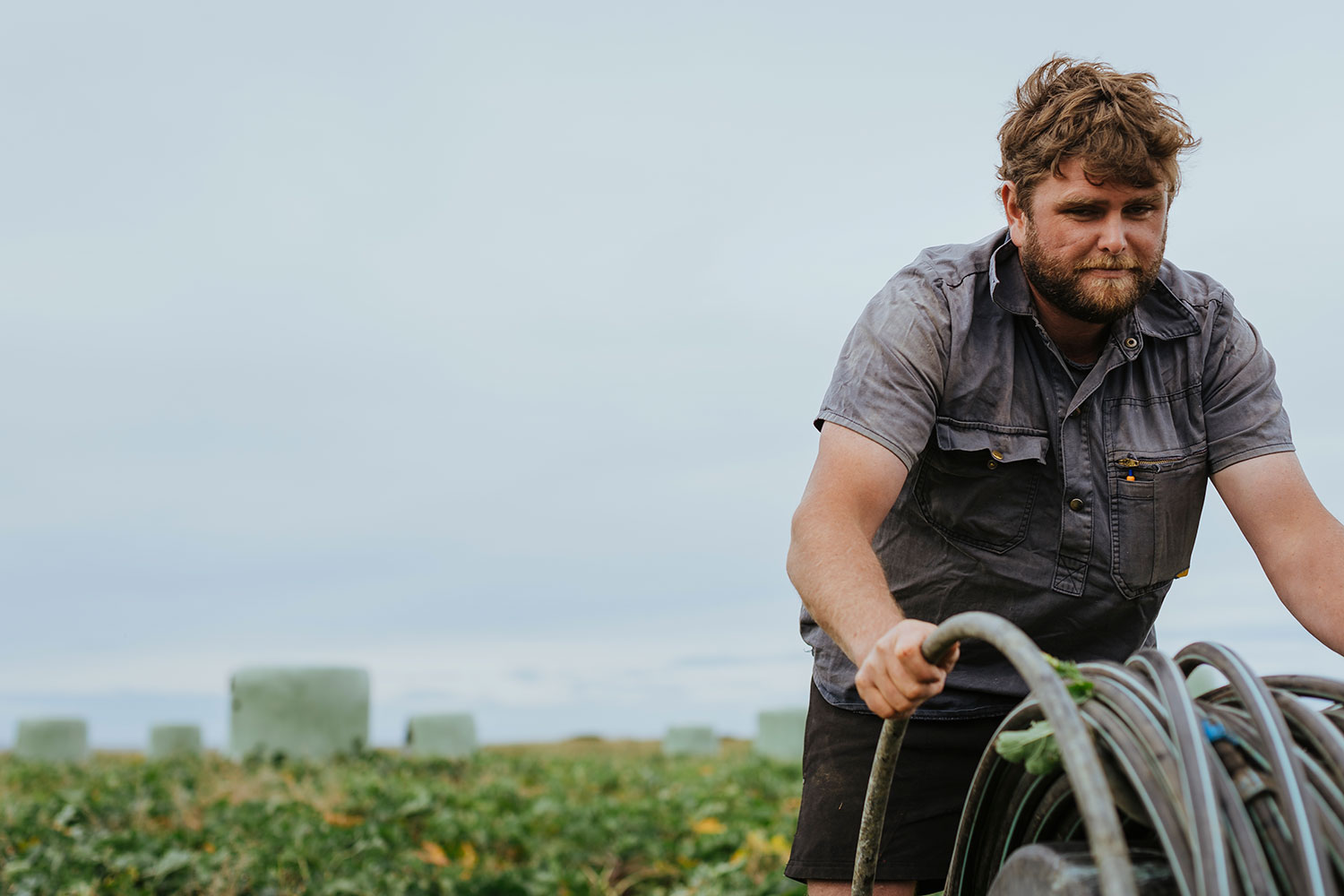 Setting up and grazing (January to April) - DairyNZ | DairyNZ