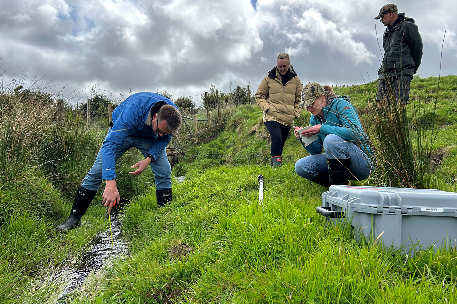 Understanding E. coli | DairyNZ