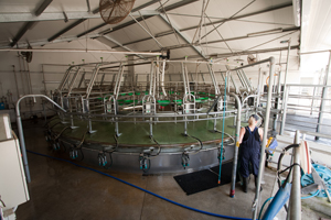Plant cleaning systems - DairyNZ | DairyNZ