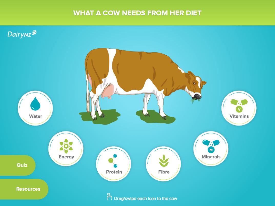 Feedright tutorials | DairyNZ