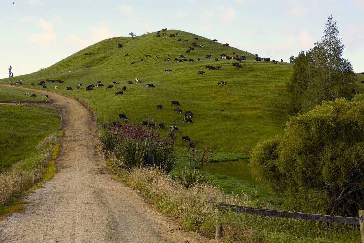 Reduce sediment loss | DairyNZ