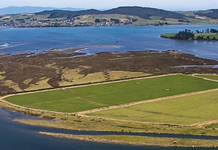 Aparima community environment project - DairyNZ | DairyNZ