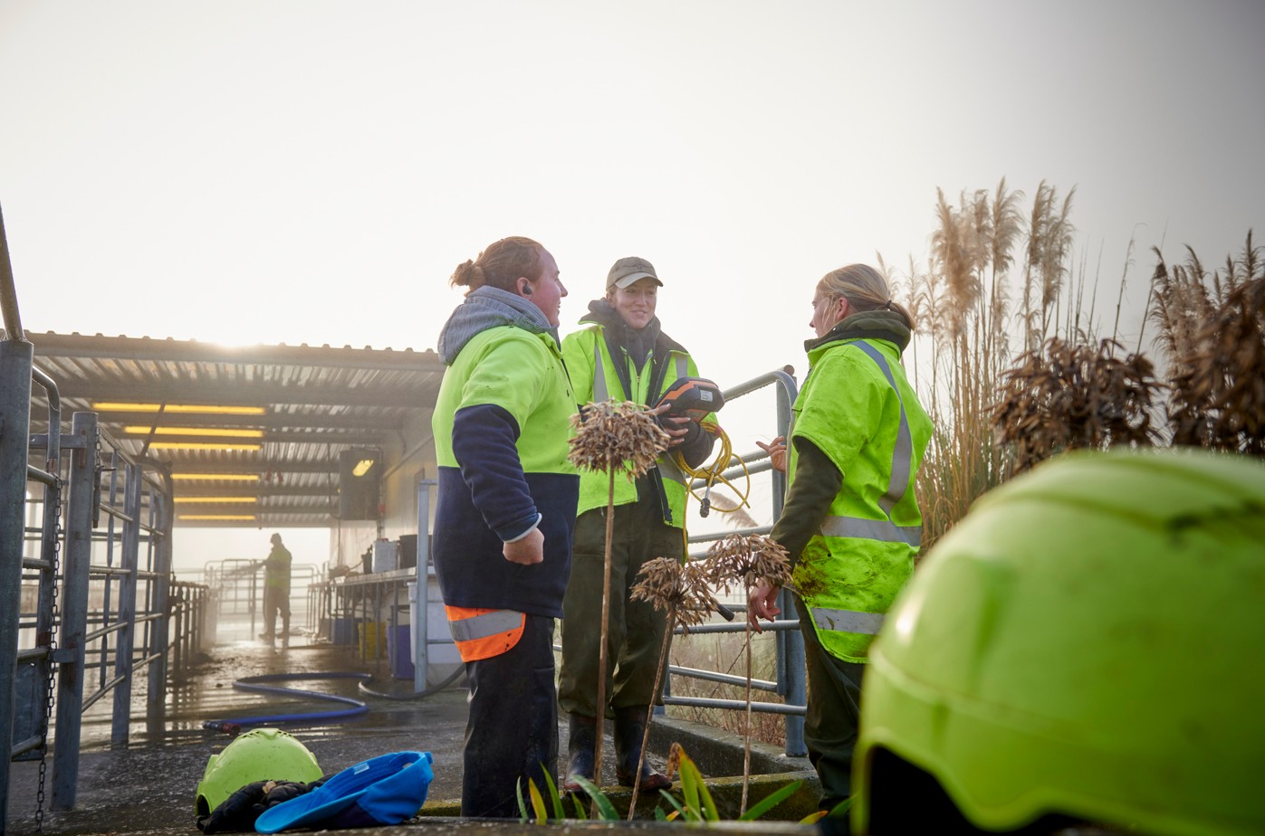 DairyNZ thanks farm staff powering research success | DairyNZ