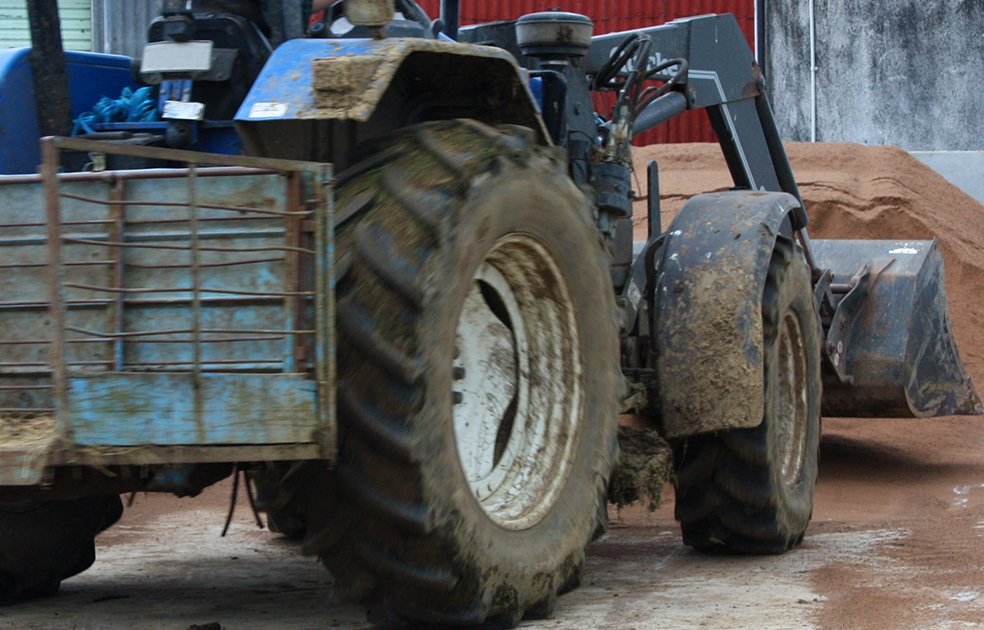 Palm Kernel Extract (PKE) | DairyNZ