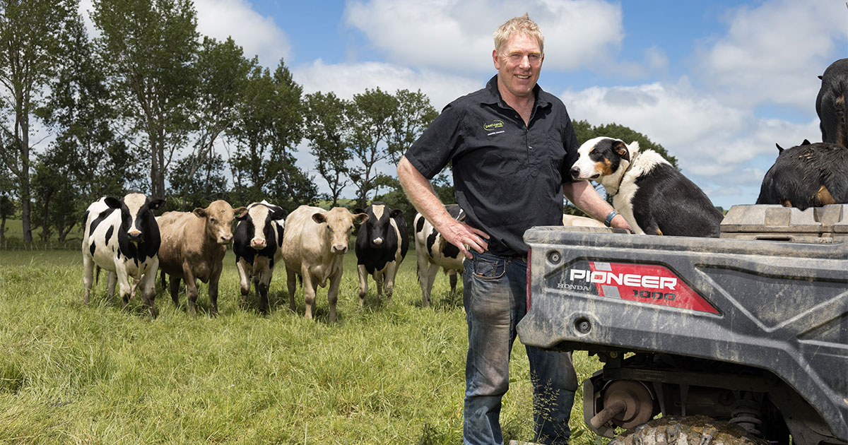 Inside Dairy - Towards more profitable and ethical dairy beef | DairyNZ