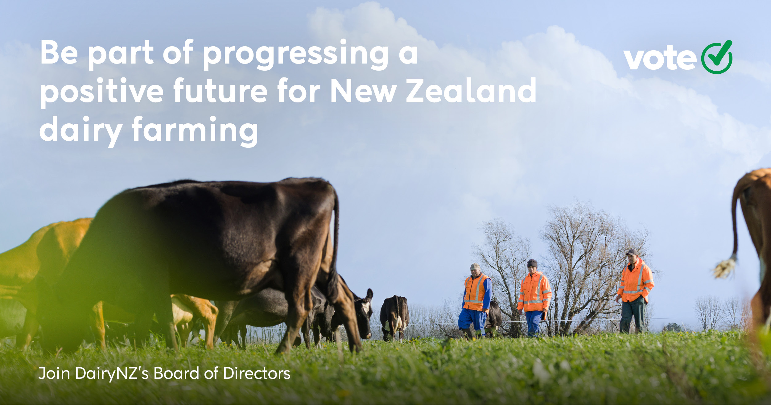 Help pave the future for New Zealand dairy – join the DairyNZ Board ...