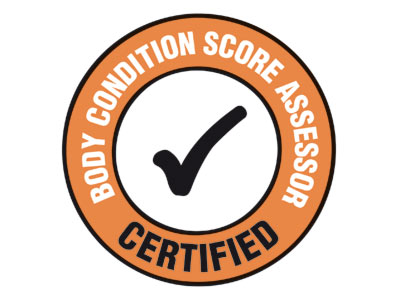 BCS Certified Assessors - DairyNZ | DairyNZ